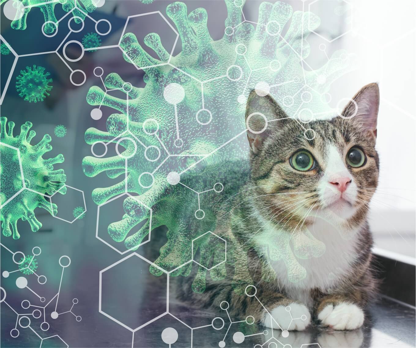 Applied DNA Achieves Program Milestone in Development of Linear DNA ...